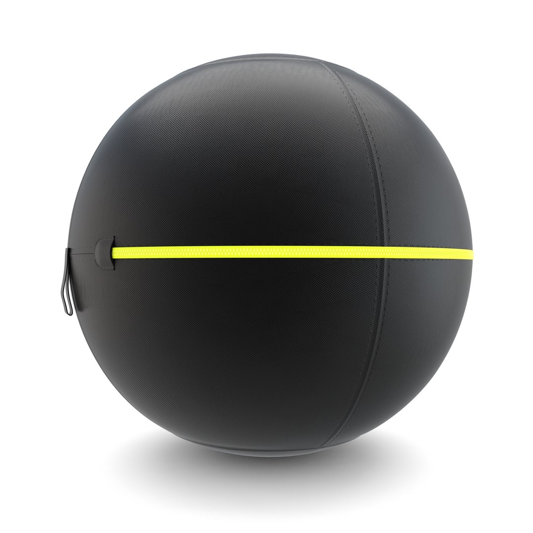 3D - Technogym Ball - TurboSquid 1155826