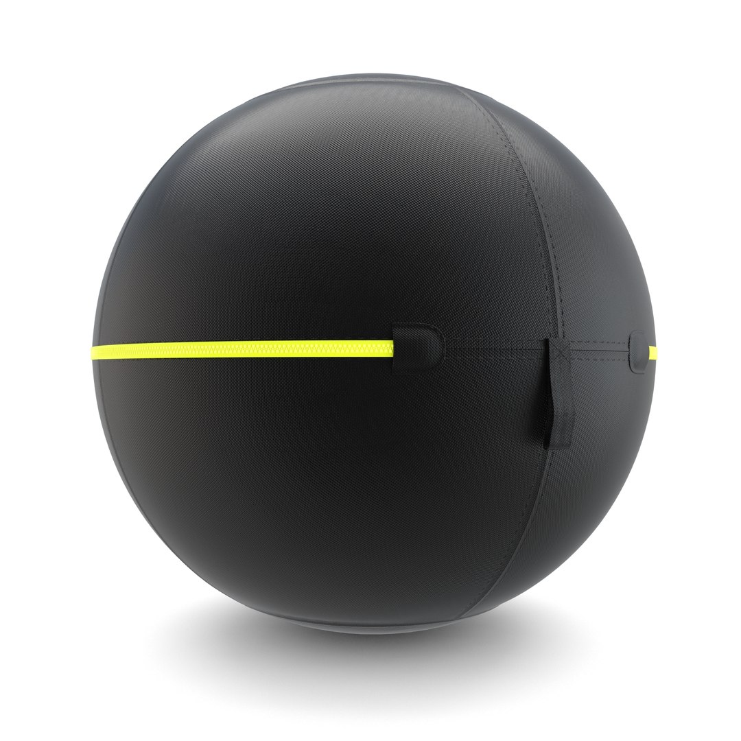 3D - Technogym Ball - TurboSquid 1155826