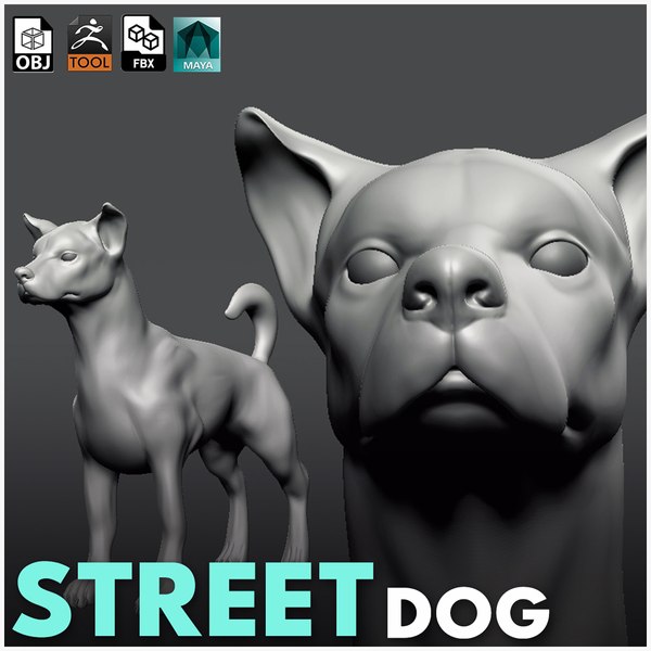 Street Dog 23D模型 - TurboSquid 2096615