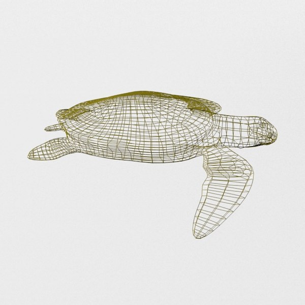 3D green turtle model - TurboSquid 1362573