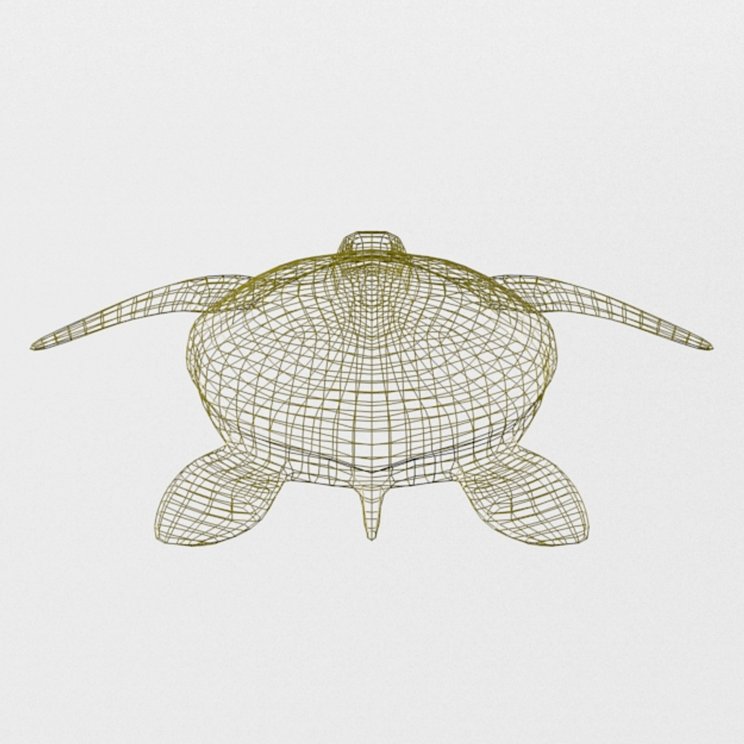3D green turtle model - TurboSquid 1362573