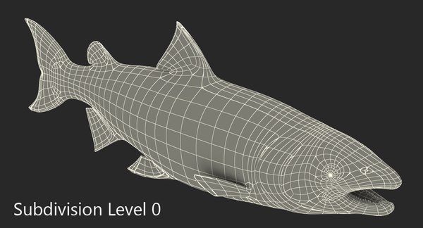 Atlantic salmon fish rigged 3D model - TurboSquid 1501093