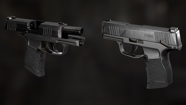 modelo 3d sig sauer - TurboSquid 1493120