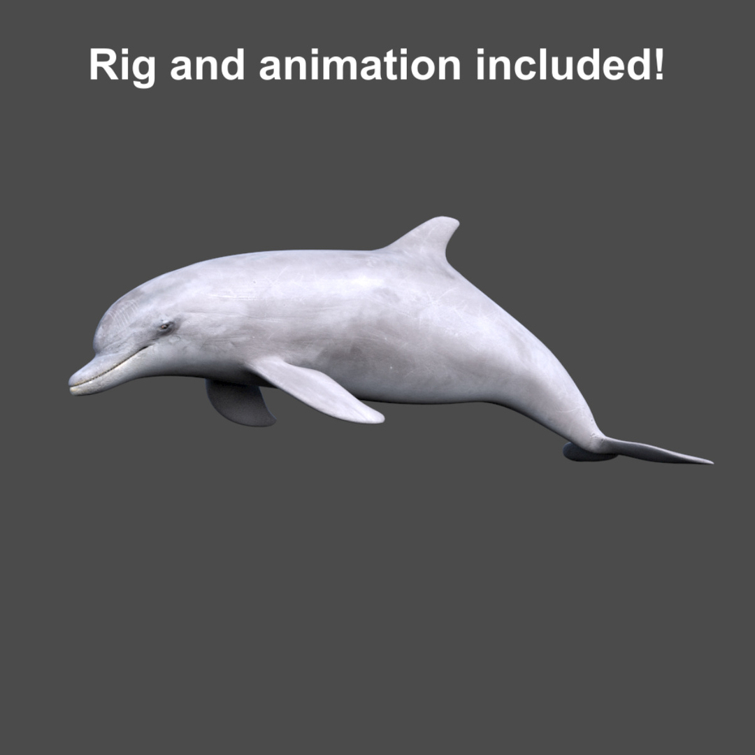 Dolphin Photorealistic Animation 3d Max
