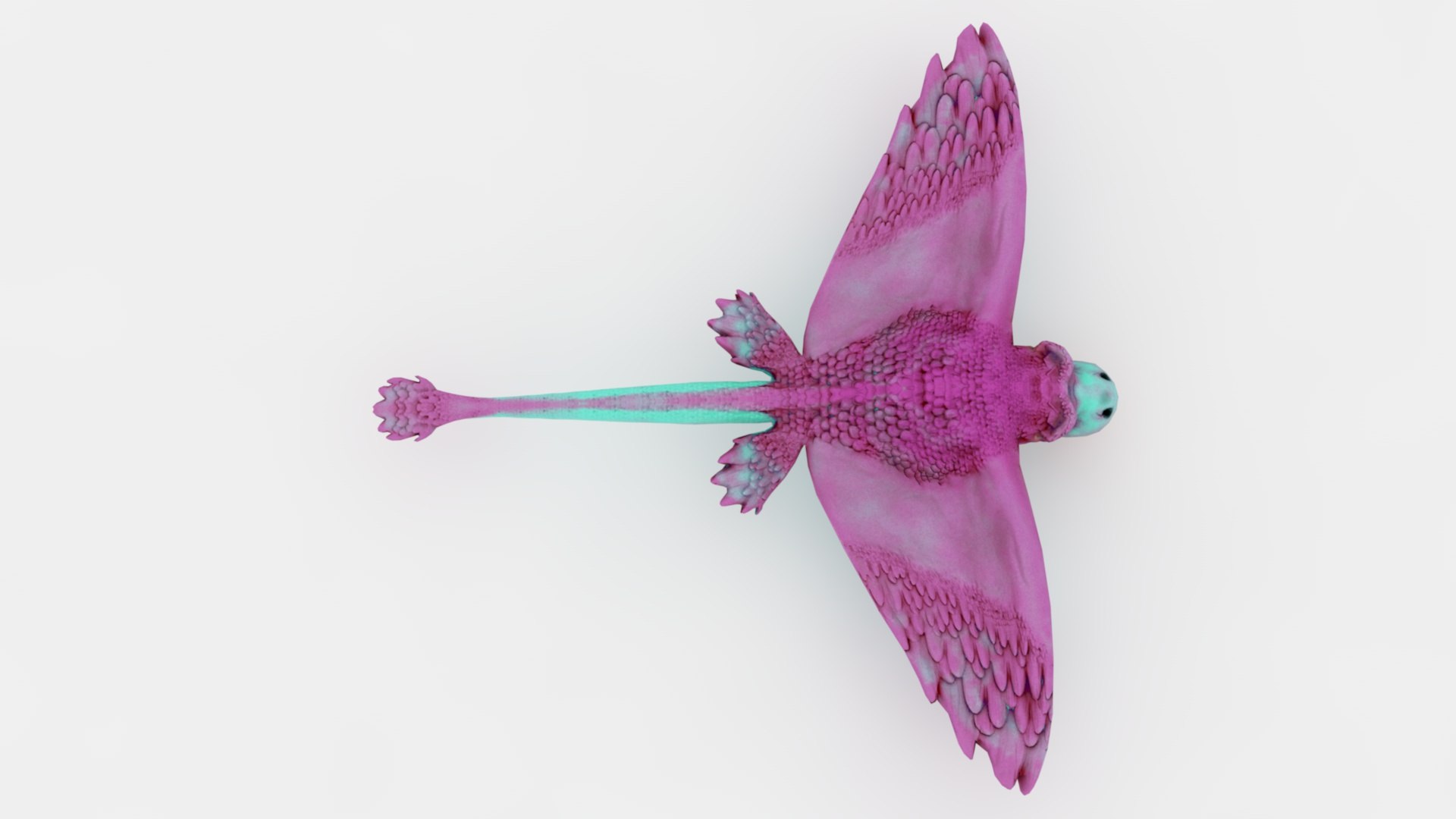 Bird Rigged And Animated 3D Model - TurboSquid 2335036