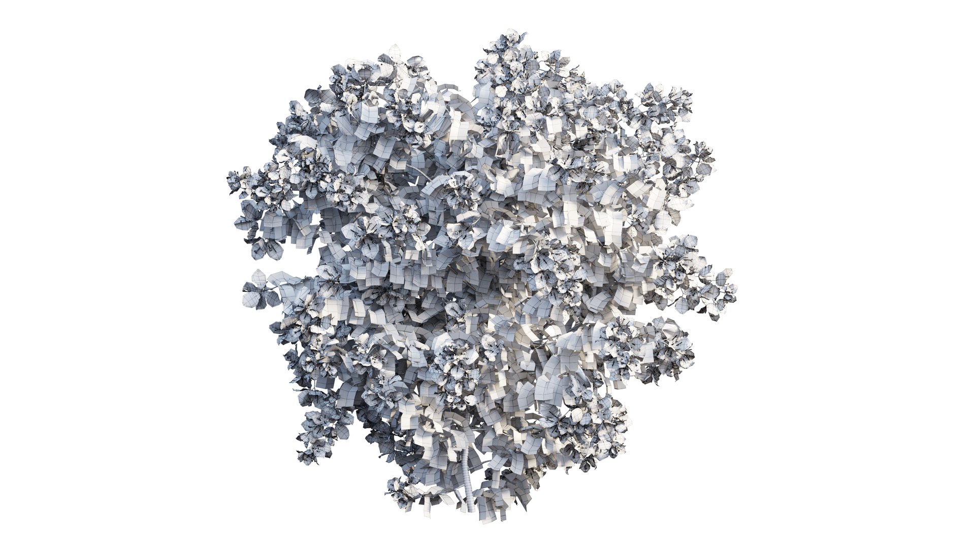 Bougainvillea plant set 34 model - TurboSquid 1983181