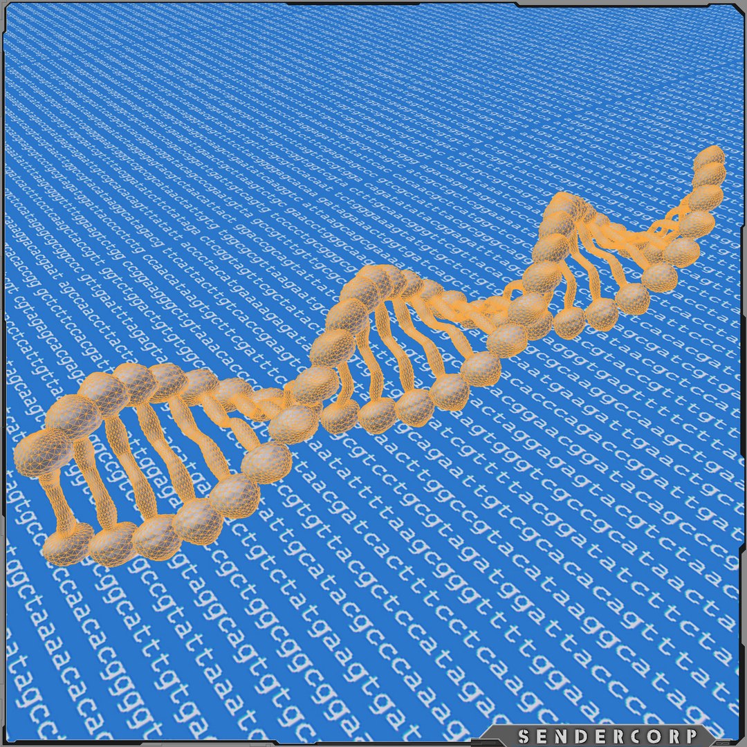 3d Dna Strand