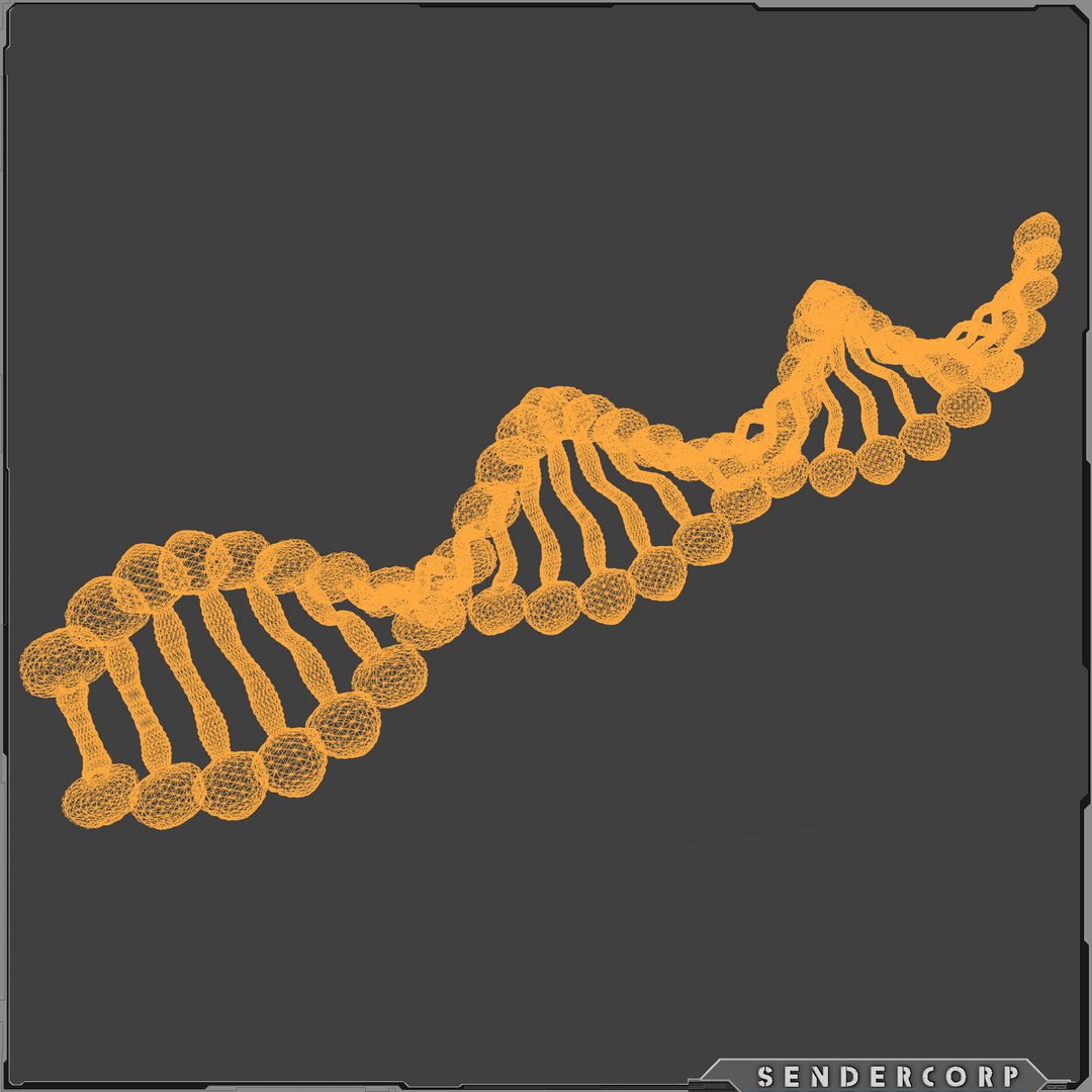 3d Dna Strand