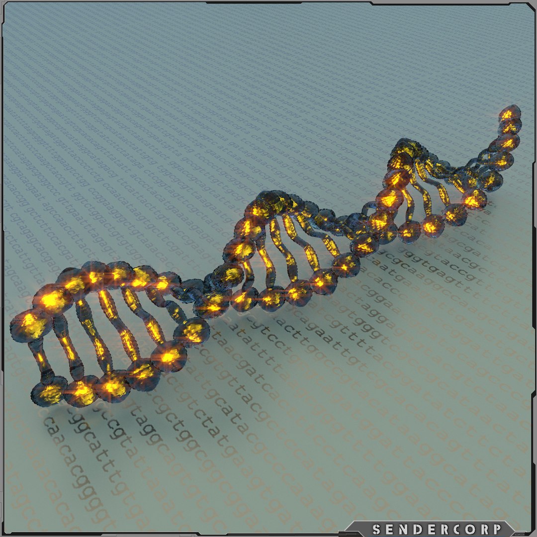 3d Dna Strand