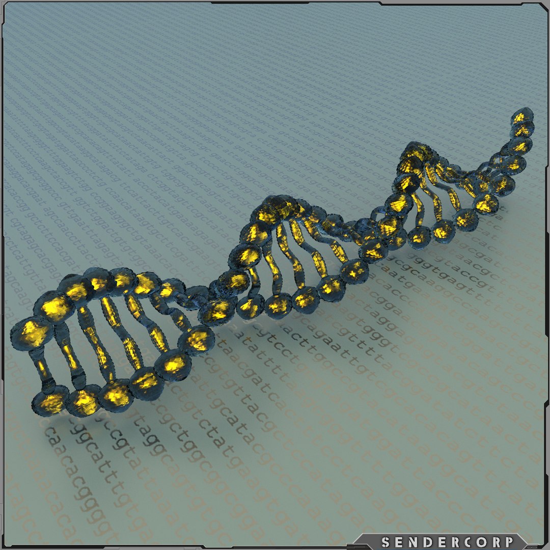 3d Dna Strand