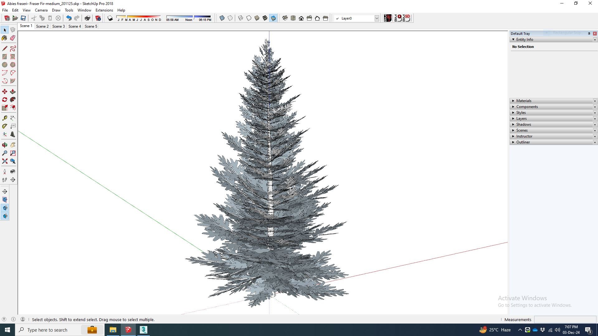 3D Abies Fraseri- Fraser Fir -Medium Model - TurboSquid 2325601