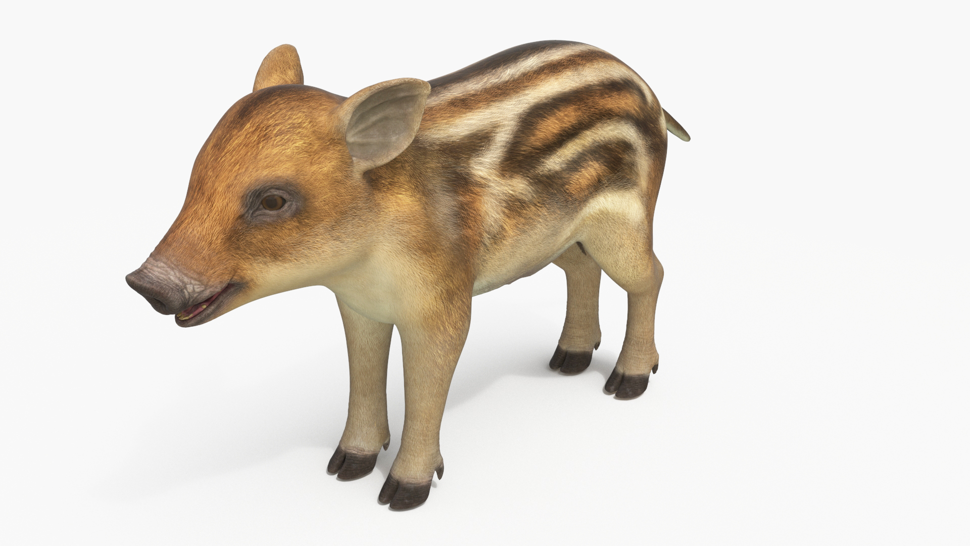 Wild Boar Piglet Striped Coloring 3D Model - TurboSquid 2472010