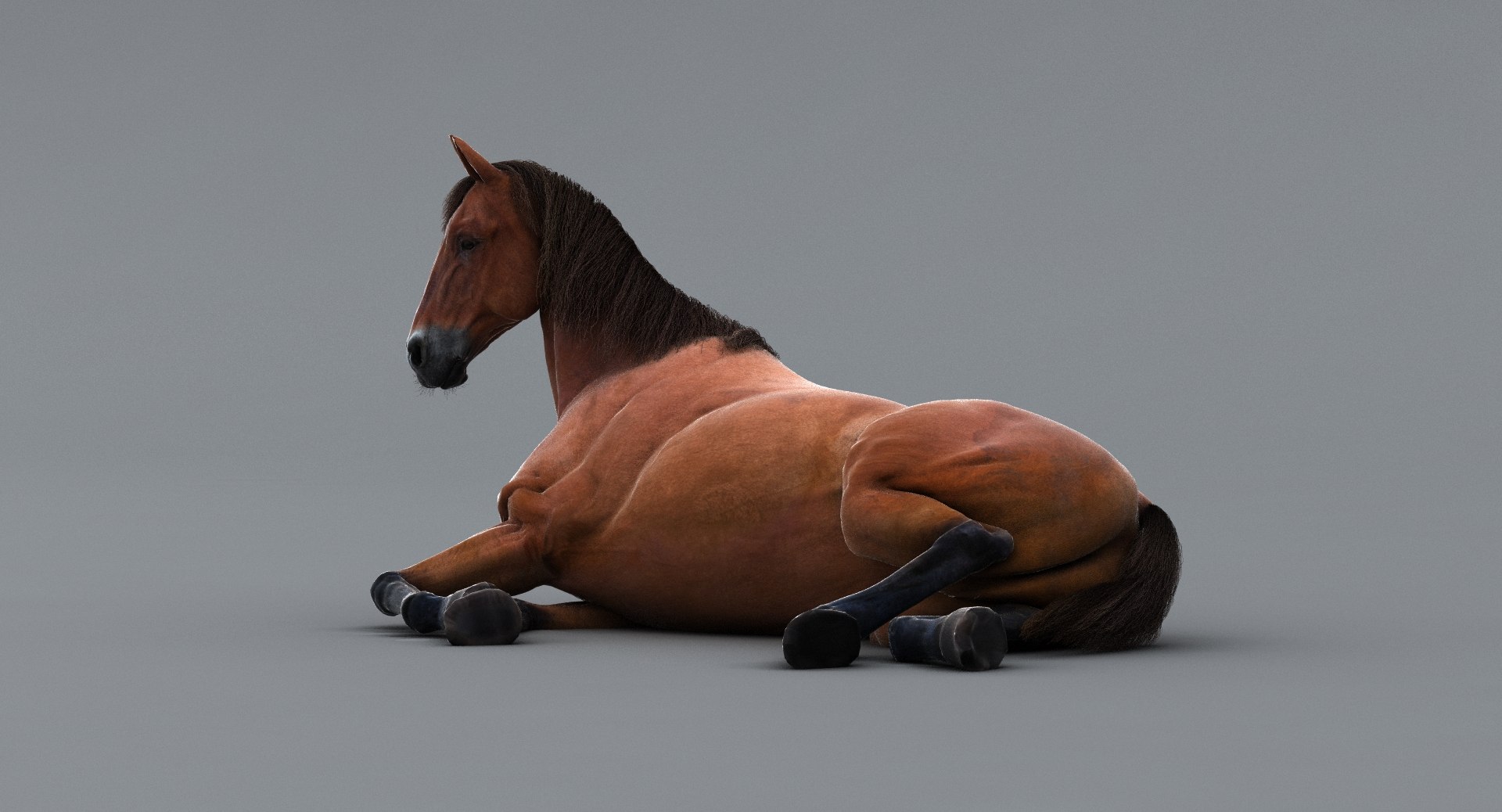 realistic horse rigged max