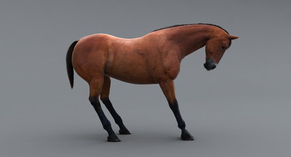 modelo 3d Aparejo de caballos - TurboSquid 1046386