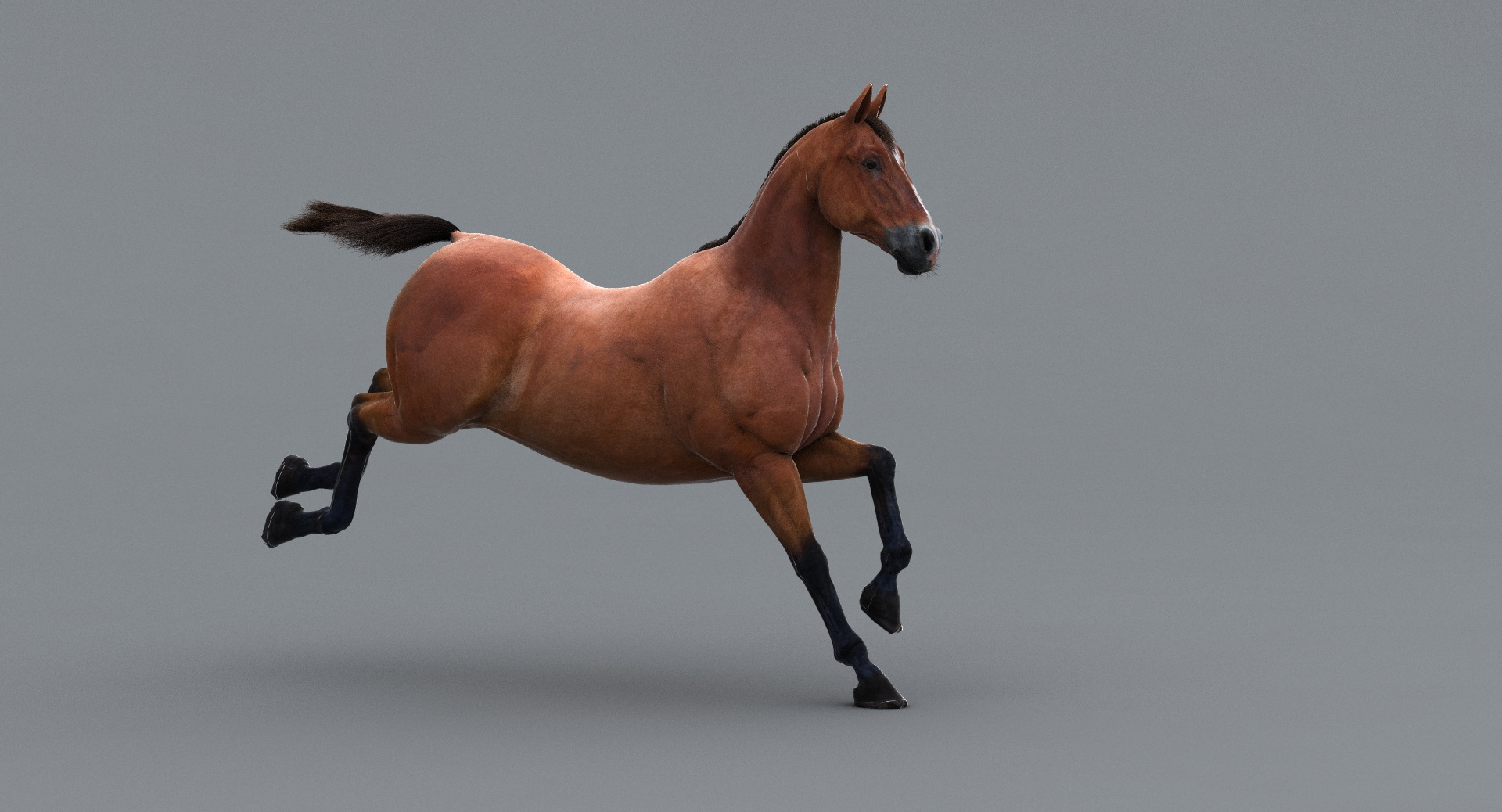 Realistic Horse Rigged Max