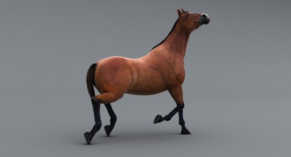realistic horse rigged max