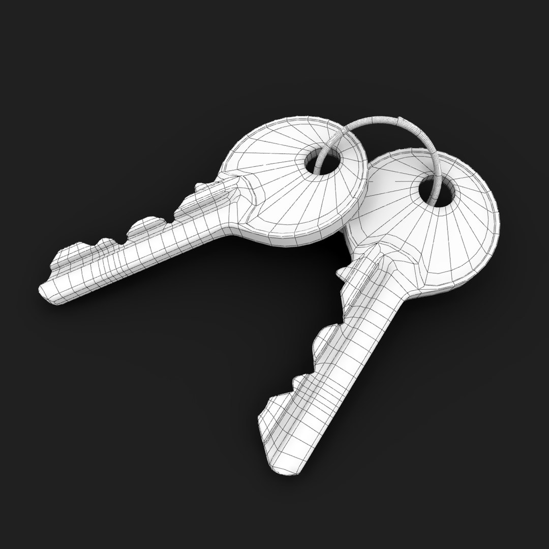 Door Key 3d Model