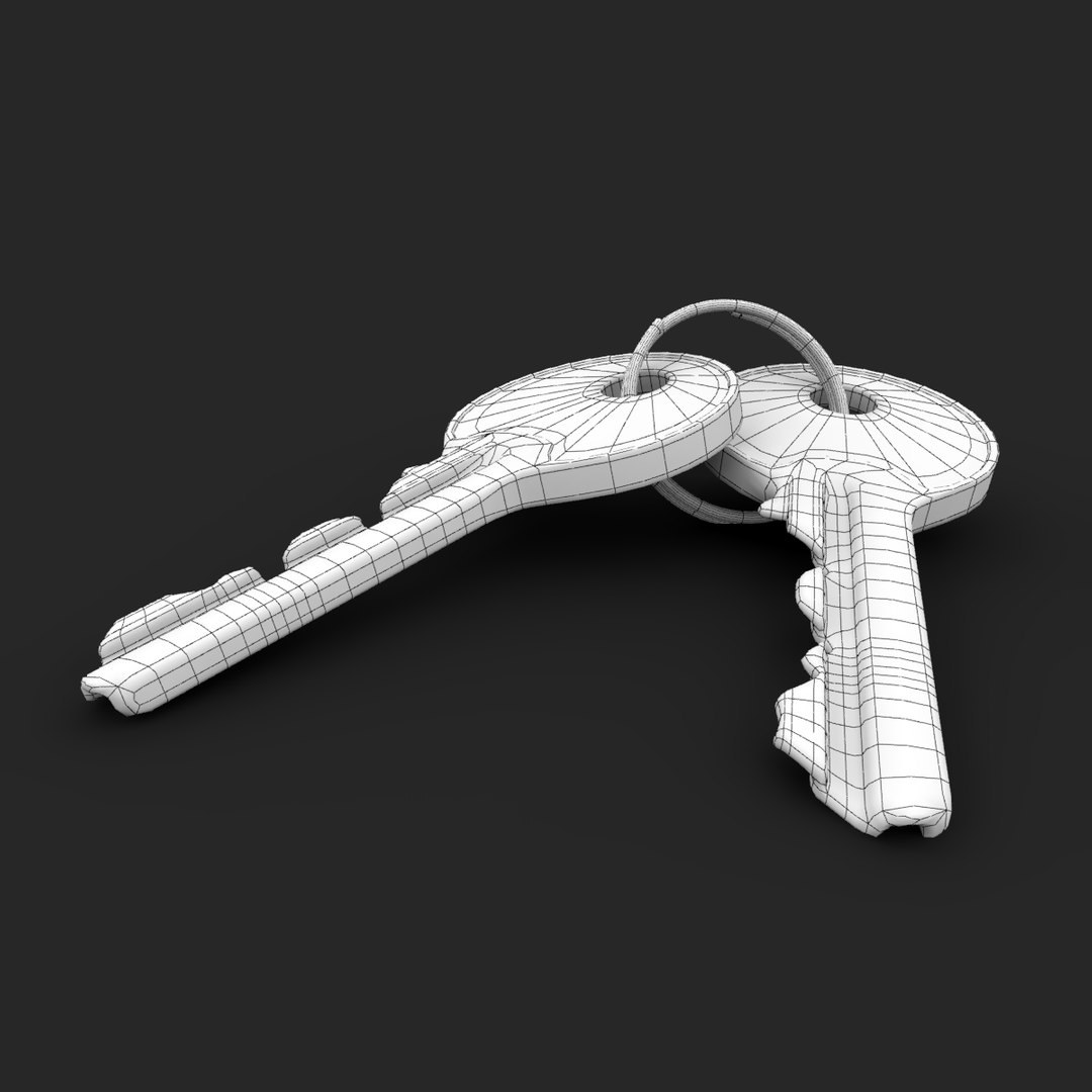 Door Key 3d Model