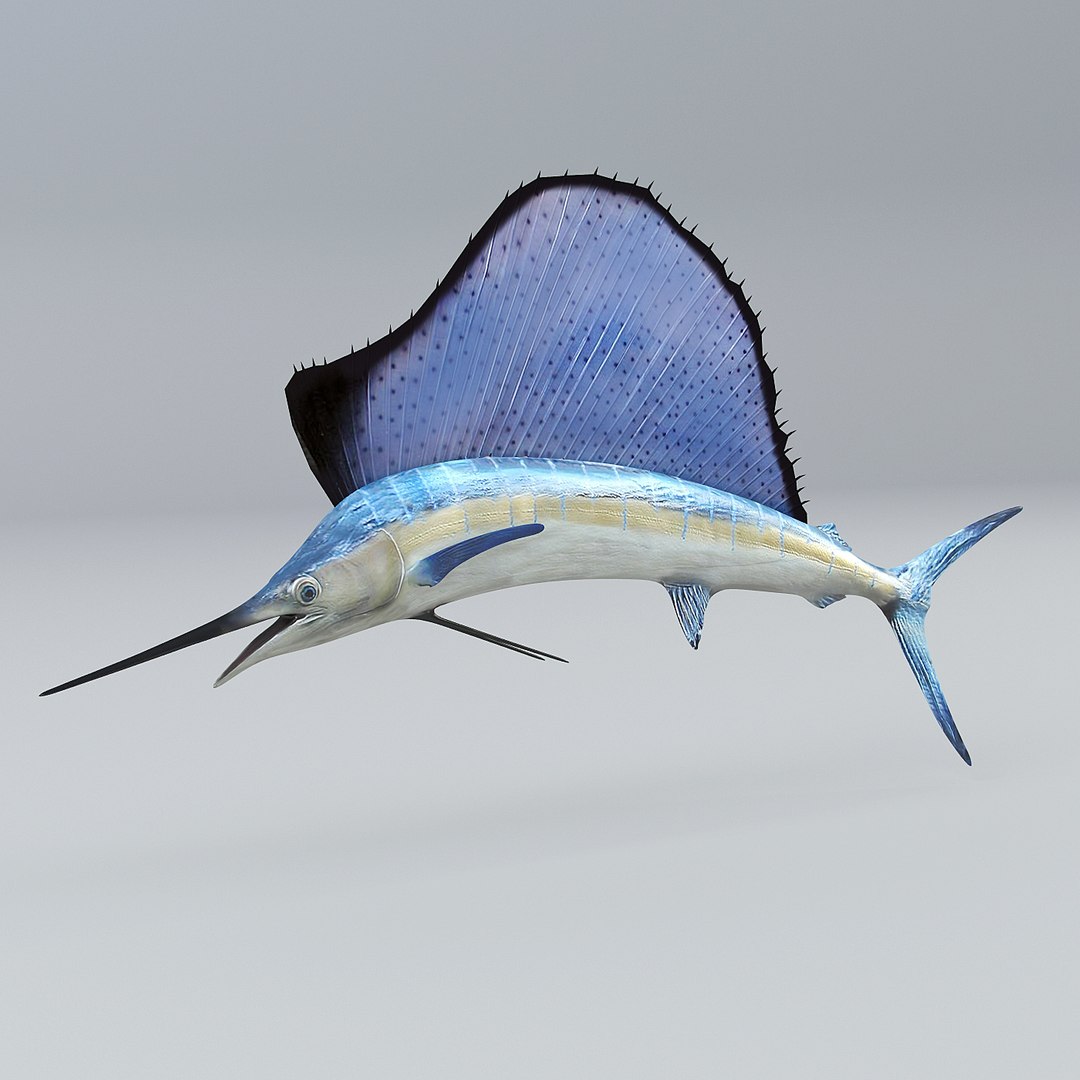 Sail Fish Sailfish 3ds