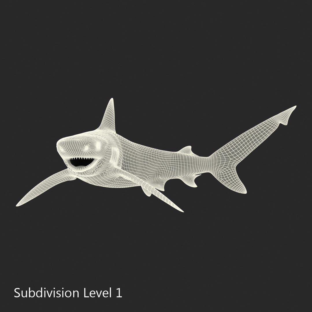 bignose shark pose 2 3d fbx