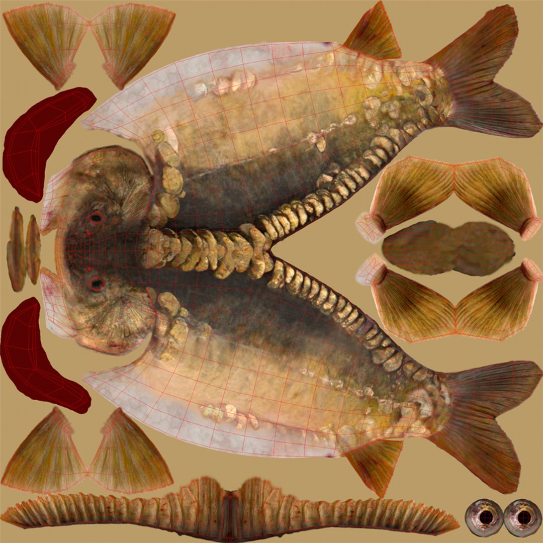 3d mirror carp