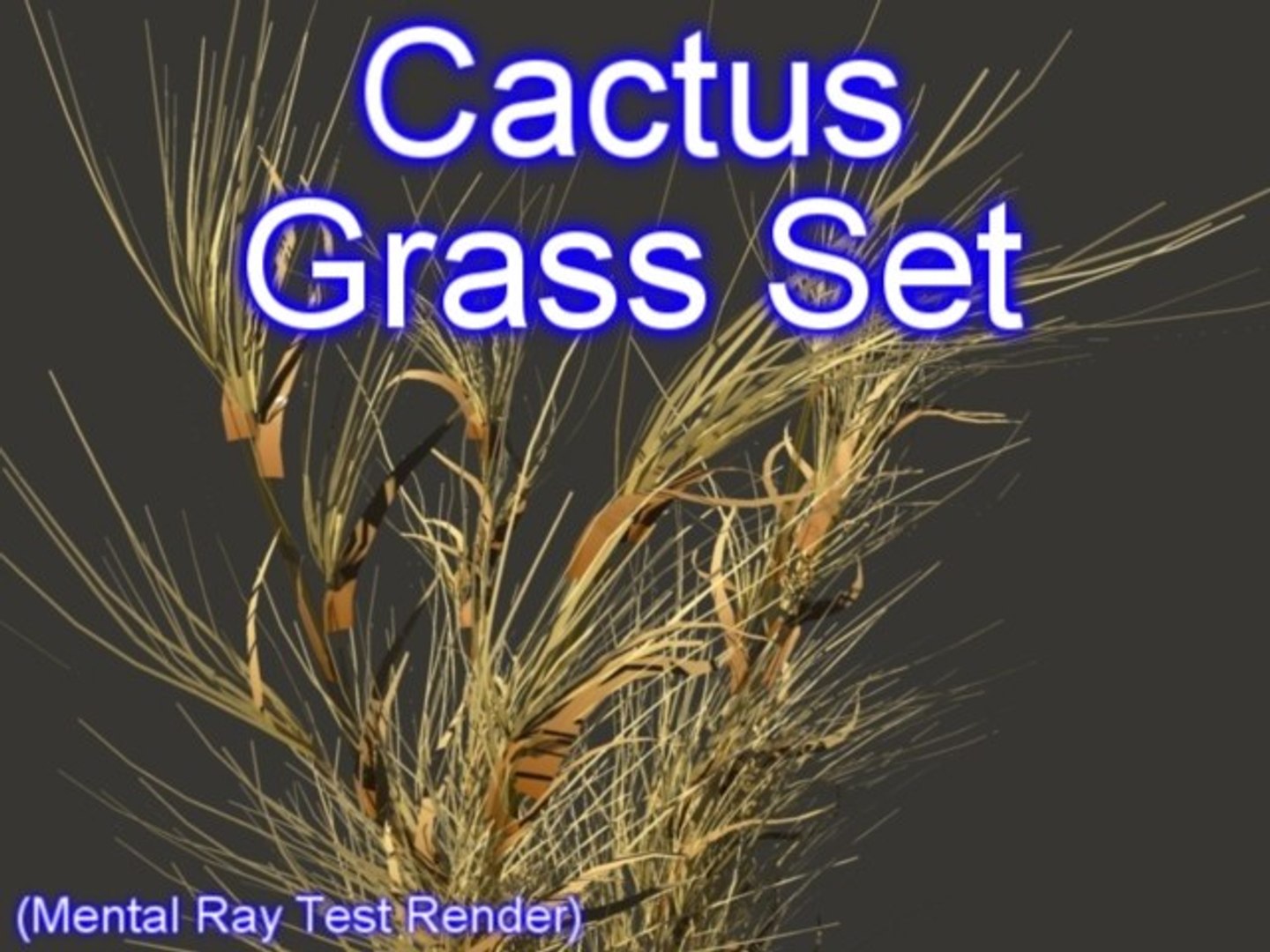 3d model set cactus grasses