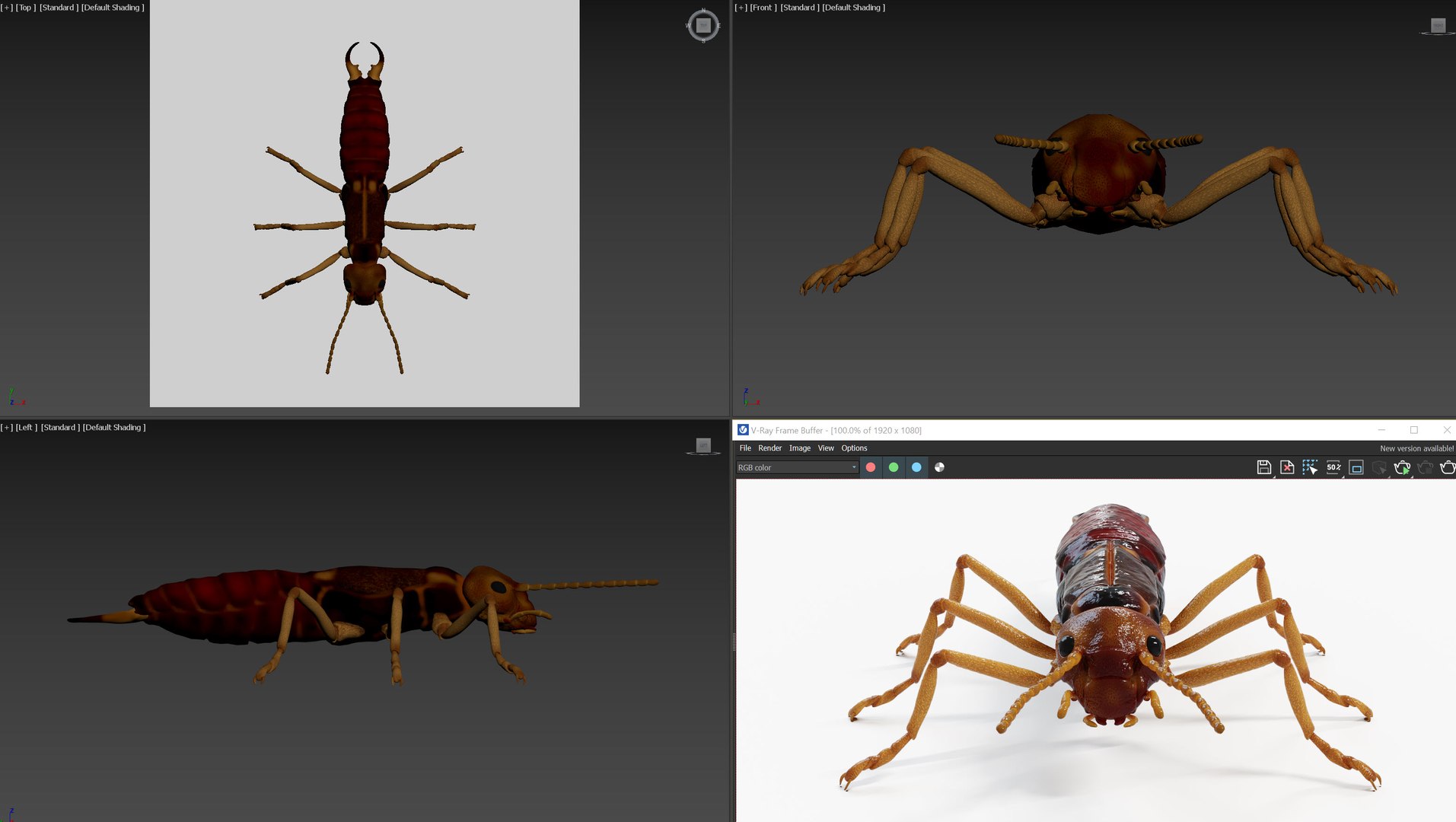 Earwig 3D Model - TurboSquid 1968772