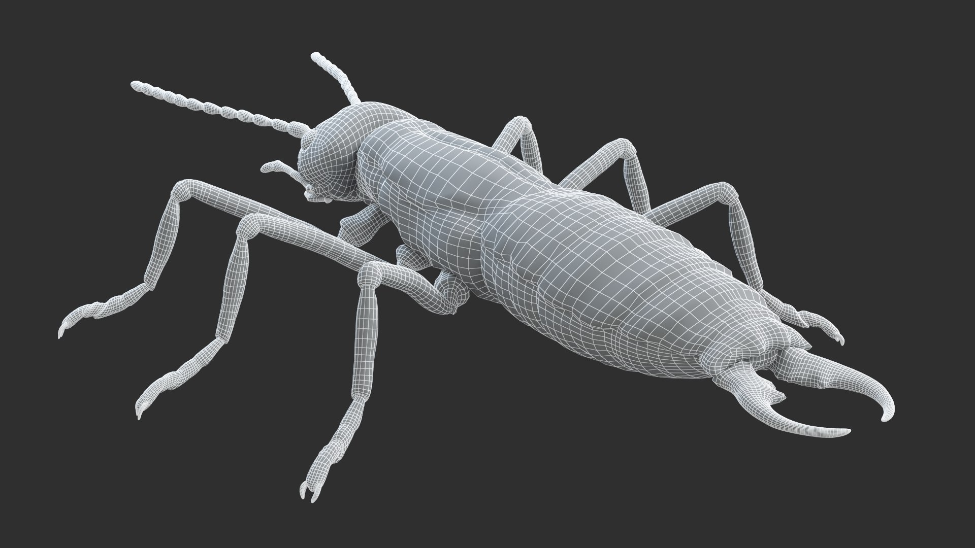 Earwig 3D Model - TurboSquid 1968772