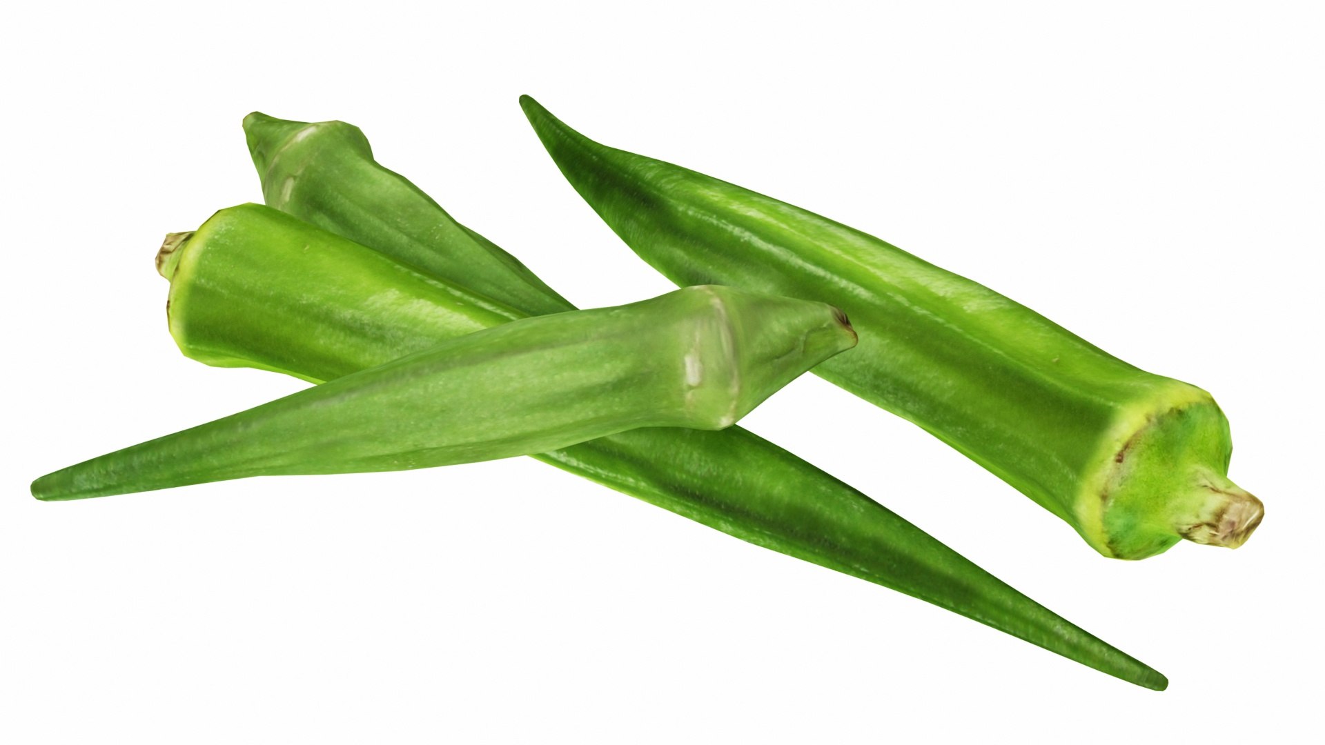 Okra 3D Model - TurboSquid 1551623