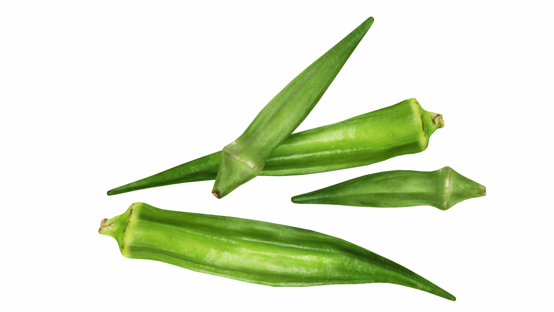 Okra 3D Model - TurboSquid 1551623