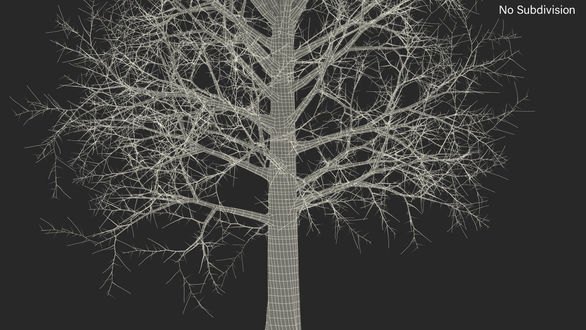 Leafless Bare Oak Tree 3d Model Turbosquid 2229477