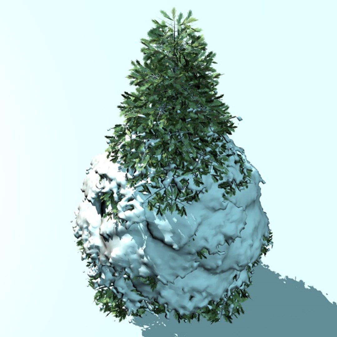 3d Model Snow Pine