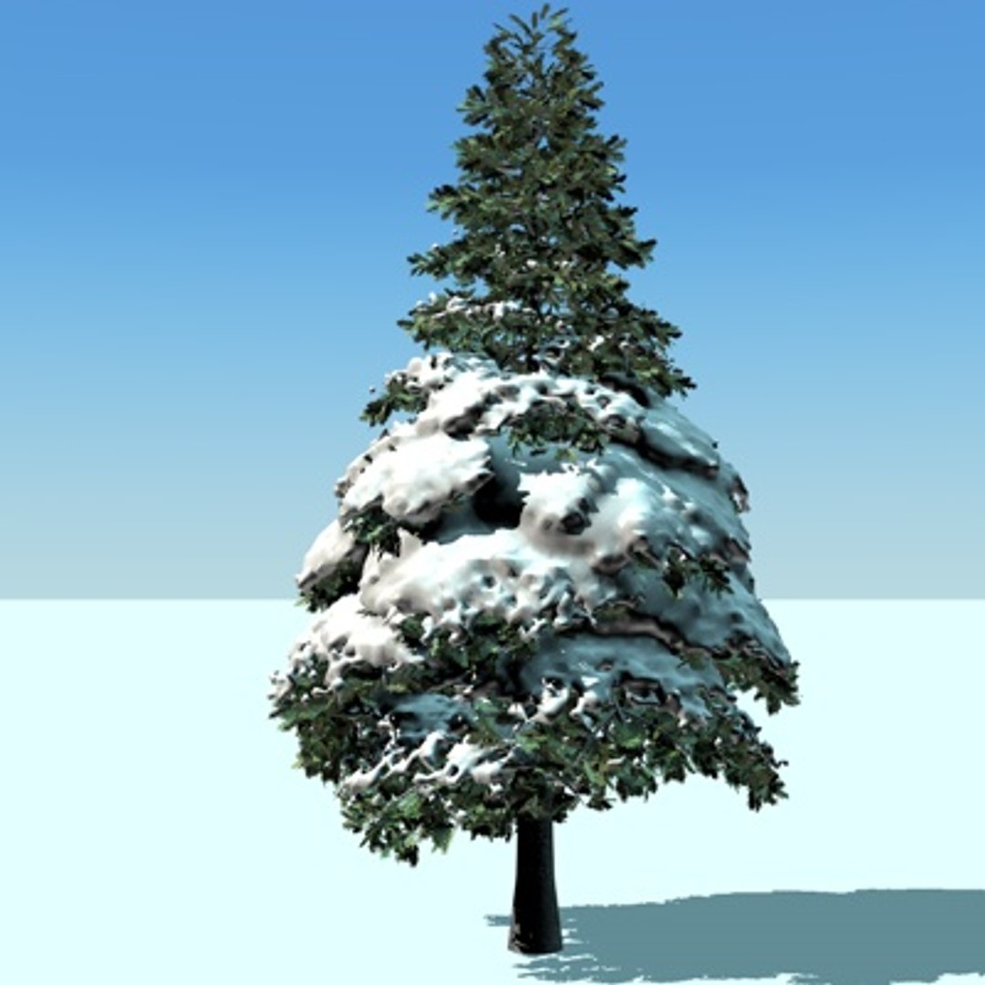 3d Model Snow Pine