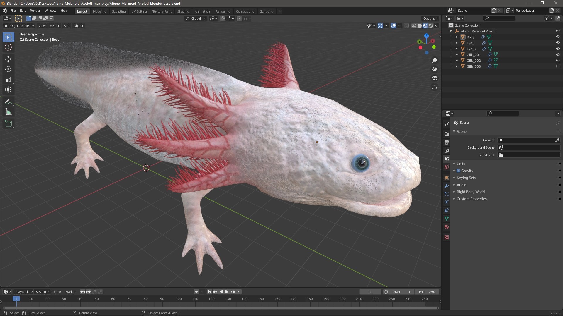 Albino Melanoid Axolotl 3D Model - TurboSquid 2210060