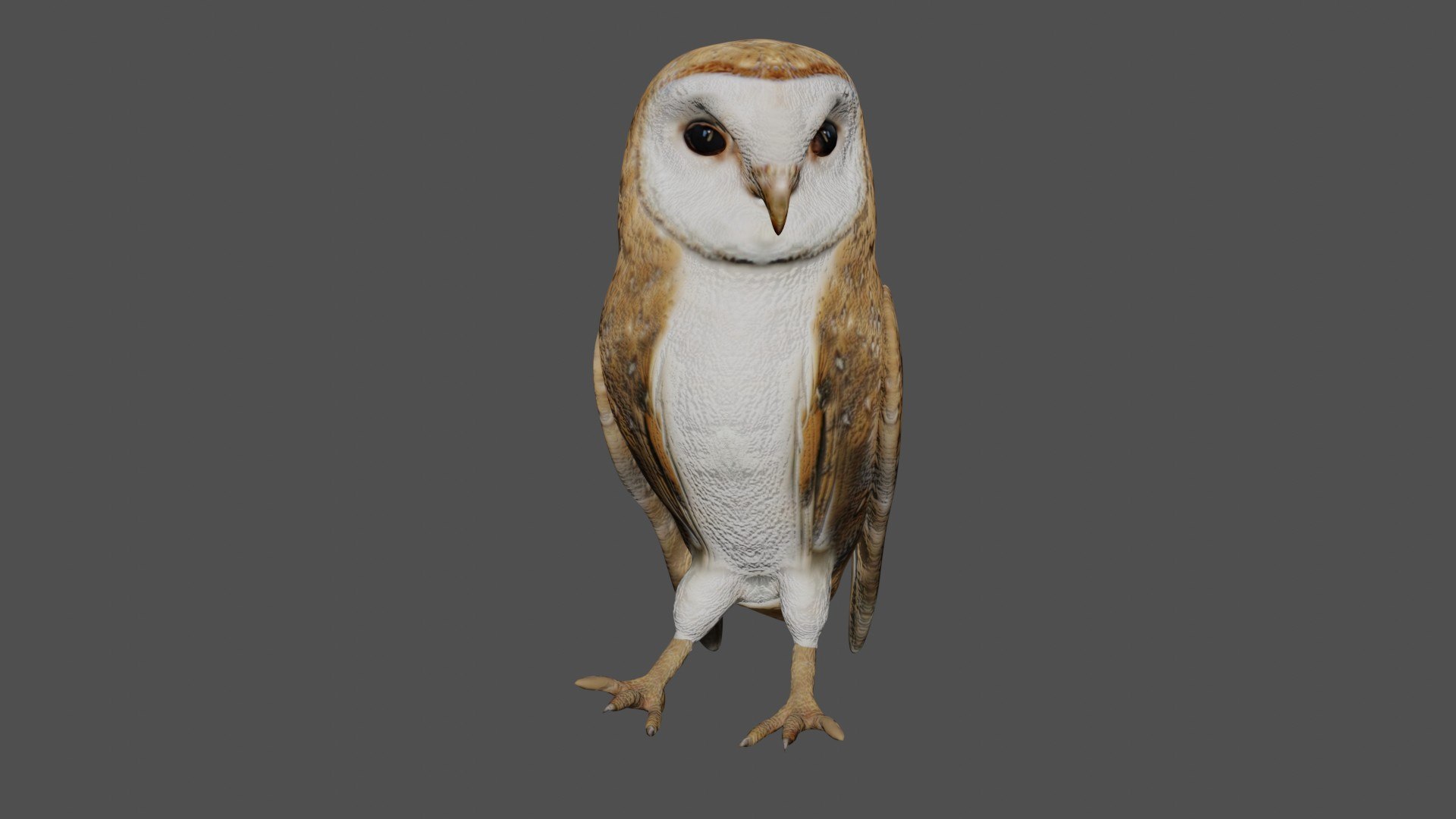 3D Model Rigged Barn Owl Low Poly - TurboSquid 1812505