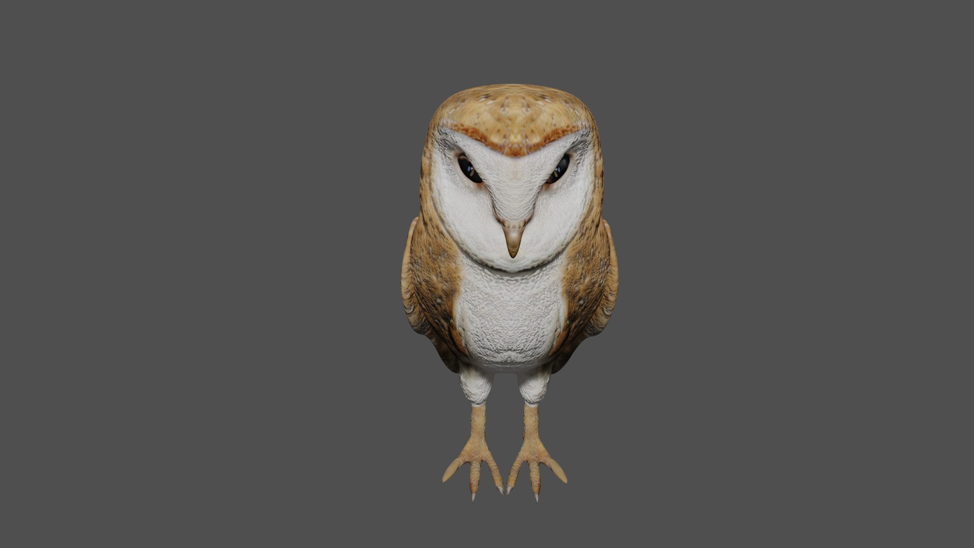 3D Model Rigged Barn Owl Low Poly - TurboSquid 1812505