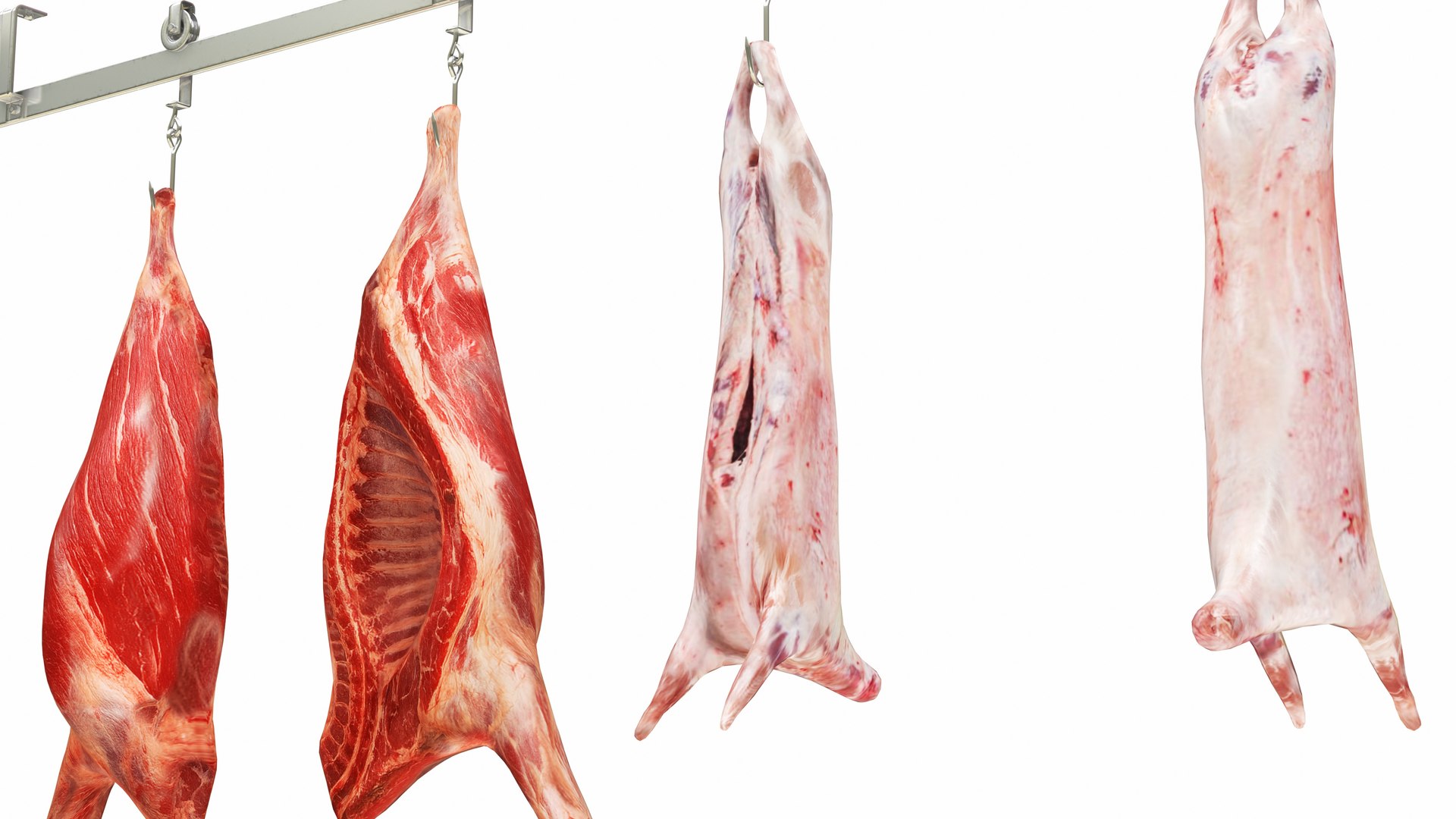 3D Carcass With Hanger - TurboSquid 2395040