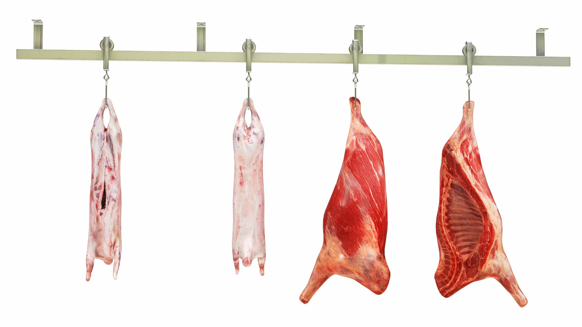 3D Carcass With Hanger - TurboSquid 2395040