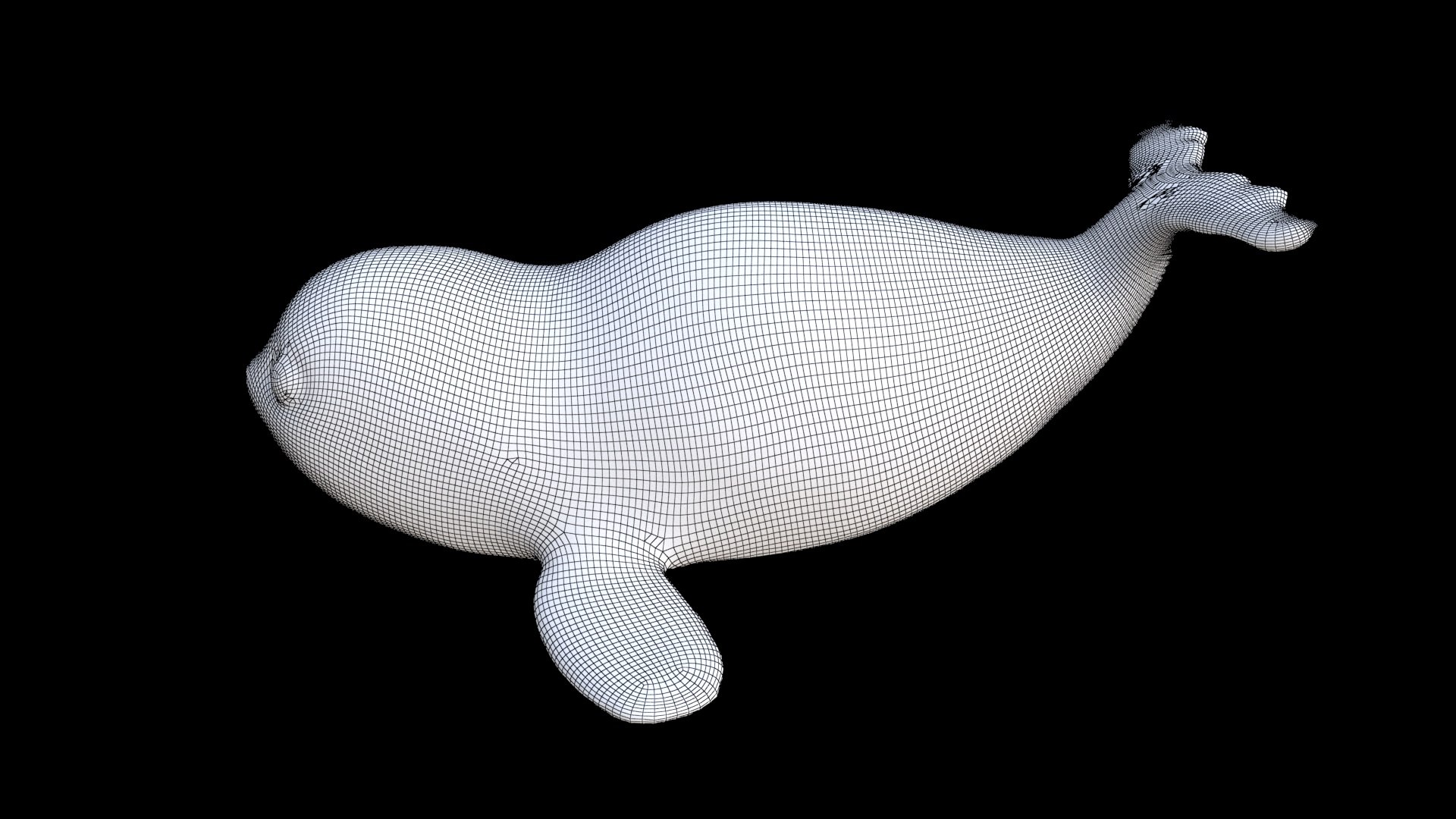 Seal 1 3D - TurboSquid 2335025