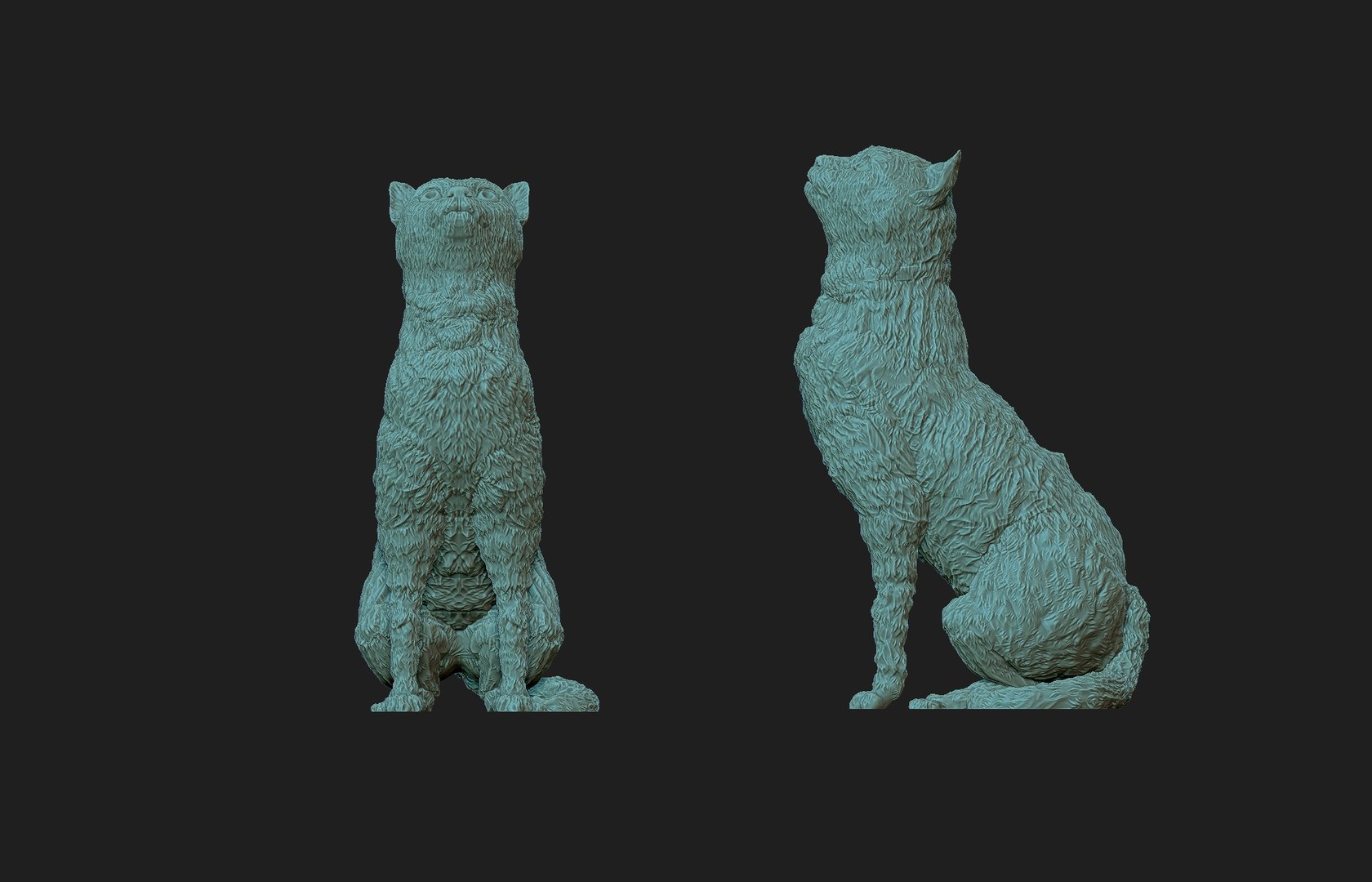 New Cat 3D Model - TurboSquid 2212070