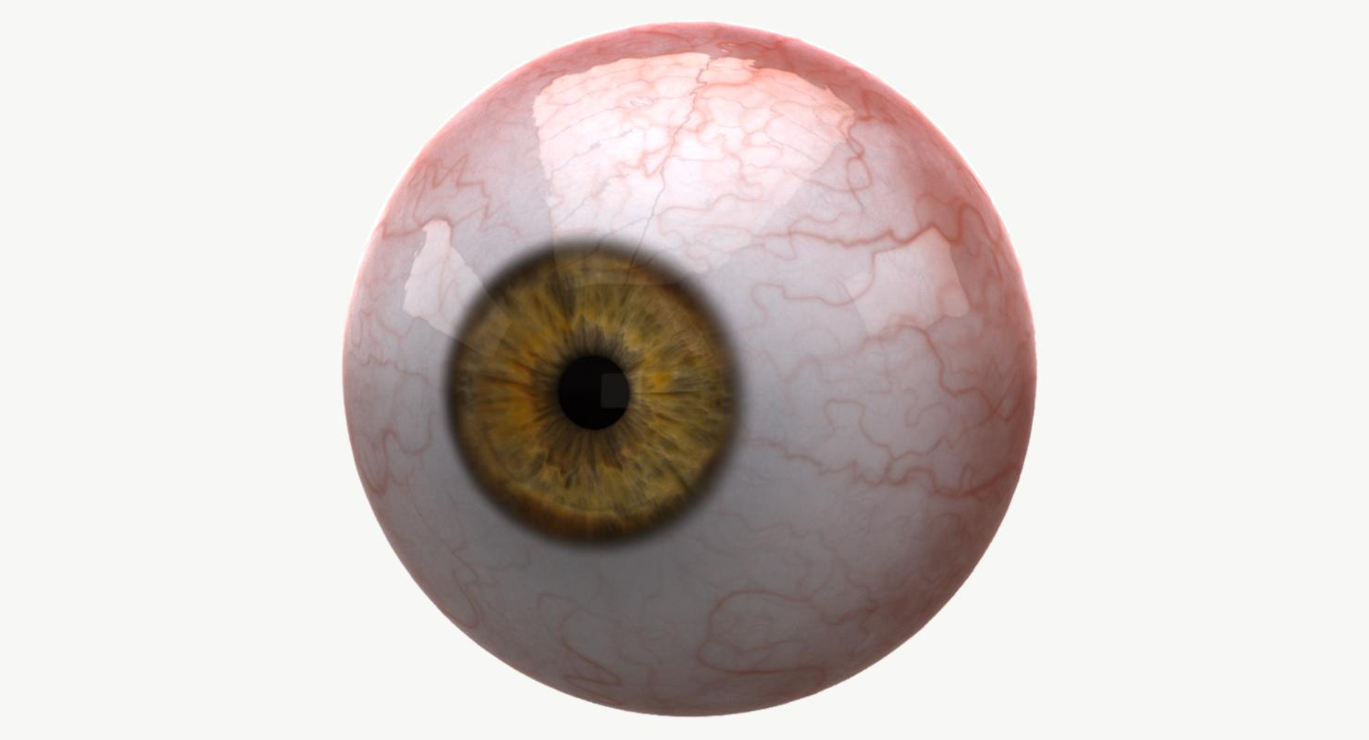 Realistic Human Creature Eye Pupil 3d Model