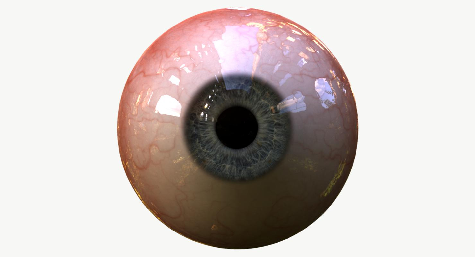 Realistic Human Creature Eye Pupil 3d Model