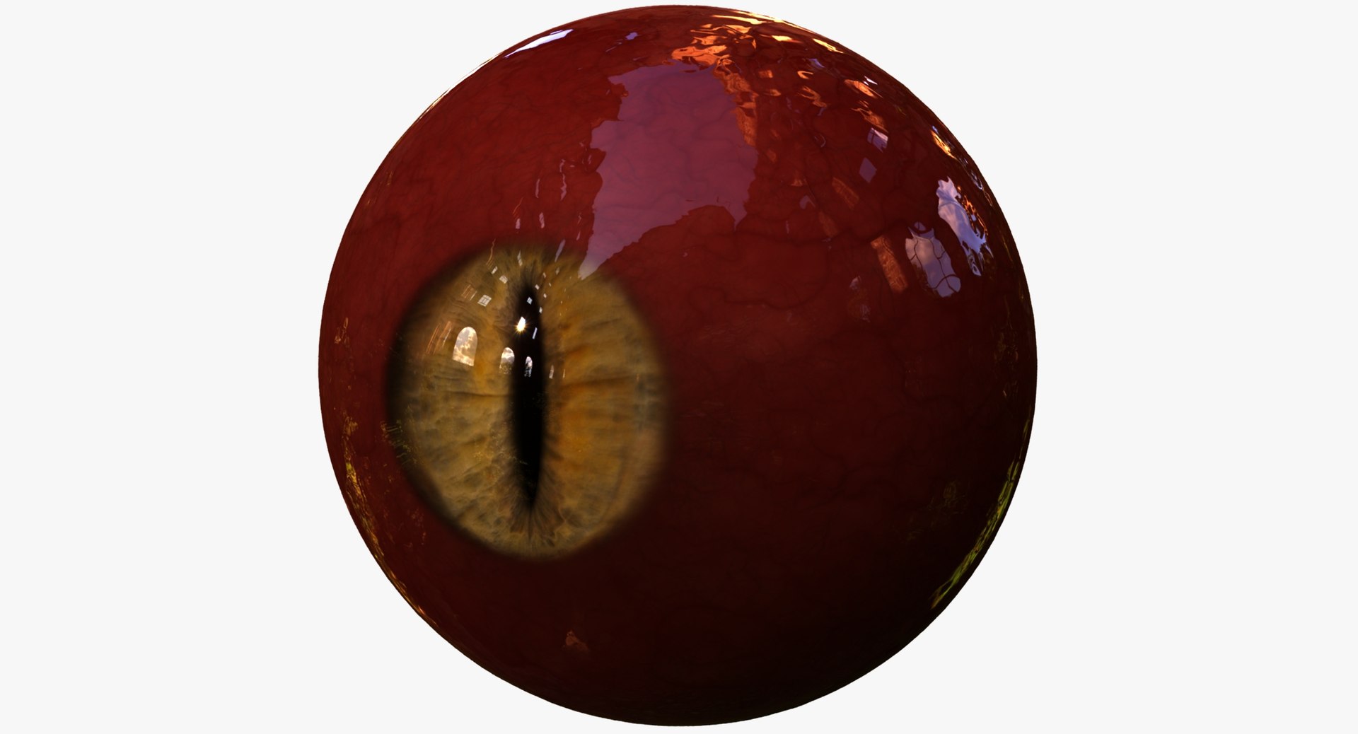 Realistic Human Creature Eye Pupil 3d Model
