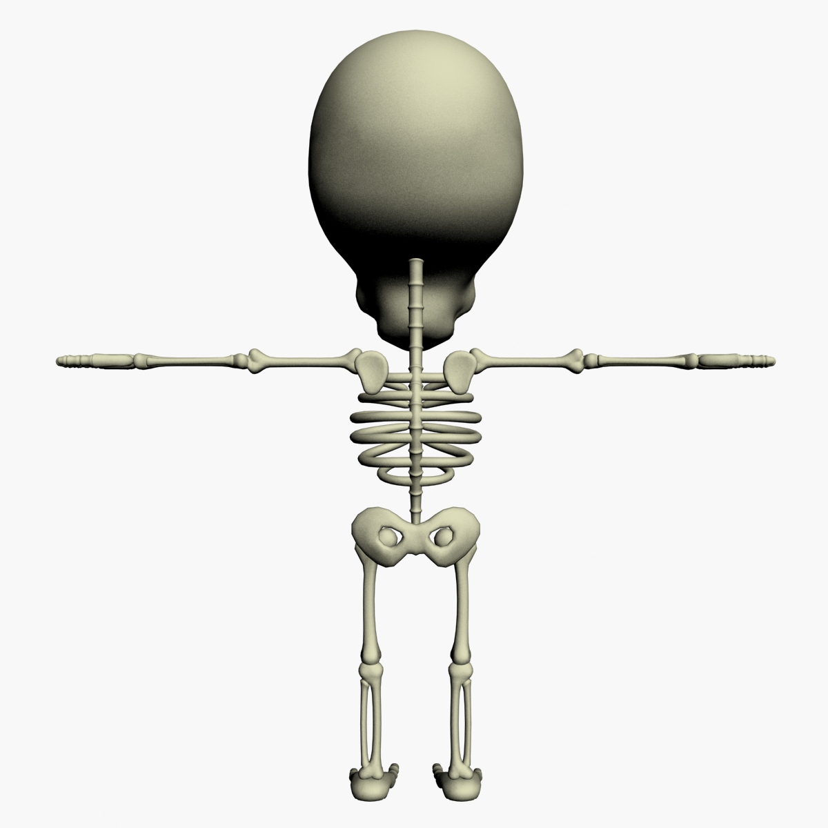 max cartoon skeleton