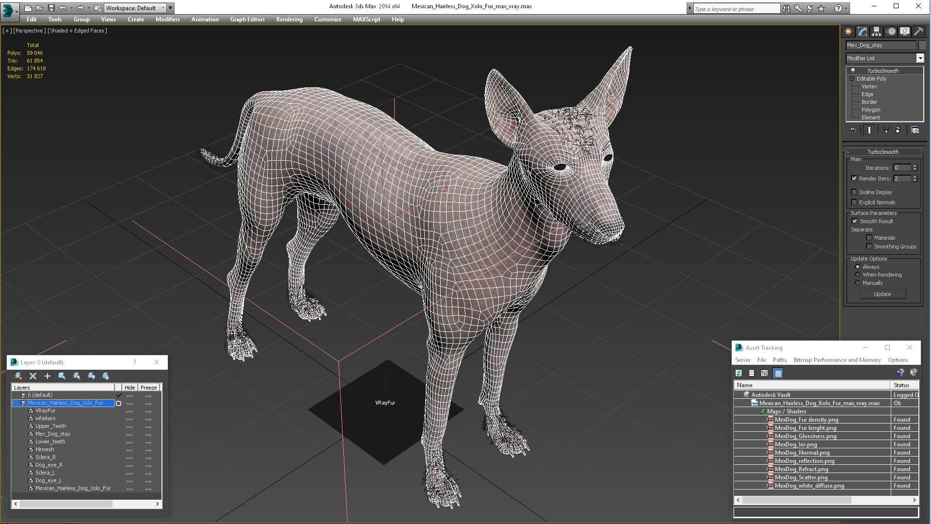 Mexican Hairless Dog Xolo Fur Model - TurboSquid 2081362