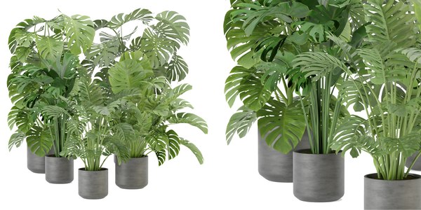 Garden Blender Models for Download | TurboSquid