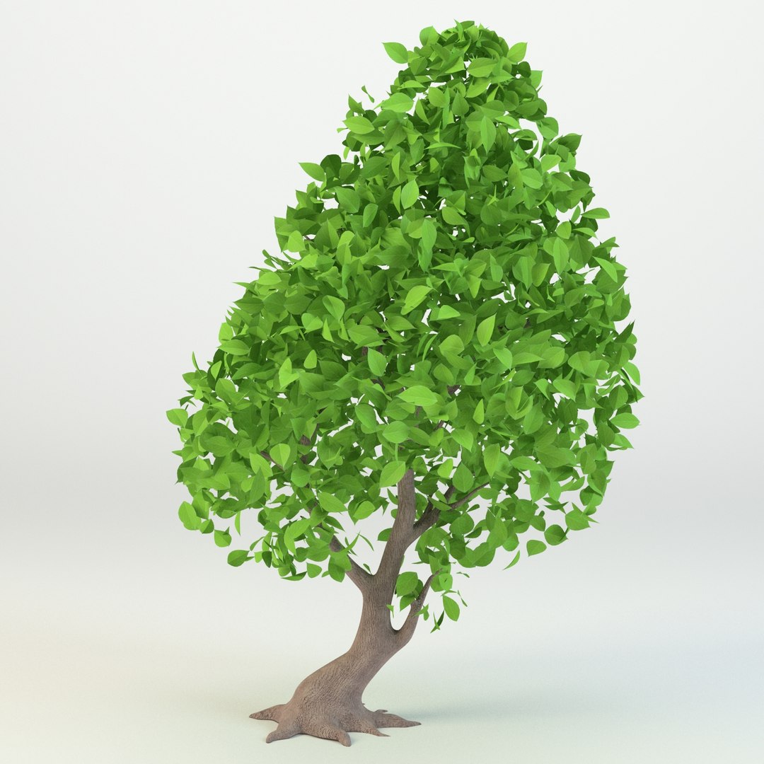 Cartoon Tree Model - TurboSquid 1620279