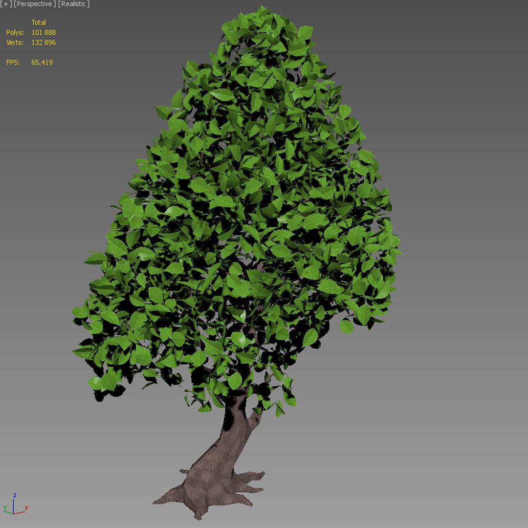 Cartoon Tree Model - TurboSquid 1620279
