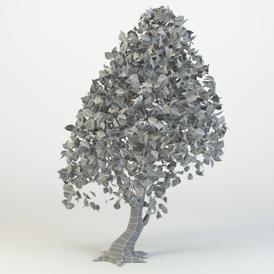 Cartoon Tree Model - TurboSquid 1620279
