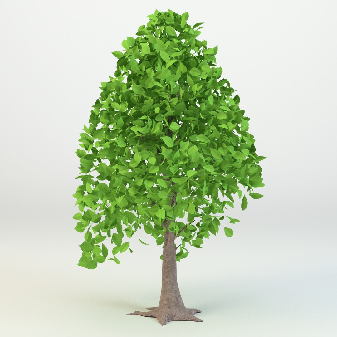 Cartoon Tree Model - TurboSquid 1620279